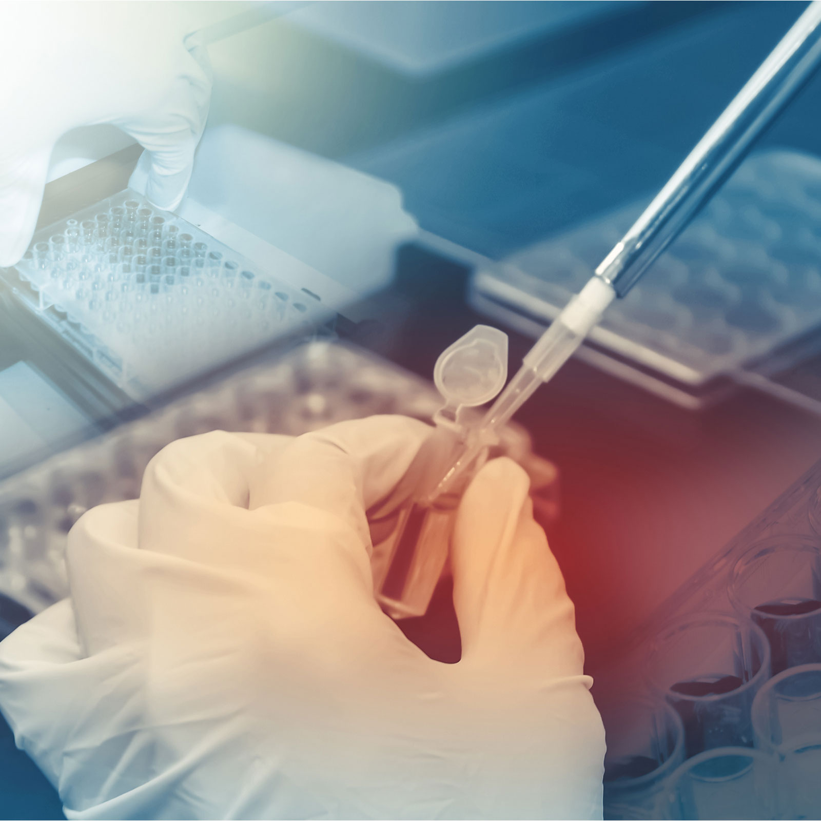 Genetic Testing Can Help Your North Houston IVF Journey